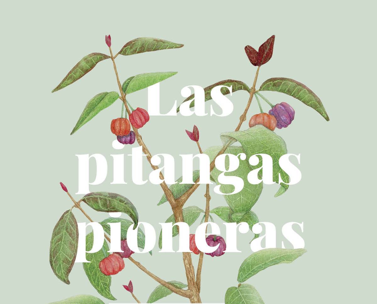 Las pitangas pioneras | la diaria | Uruguay