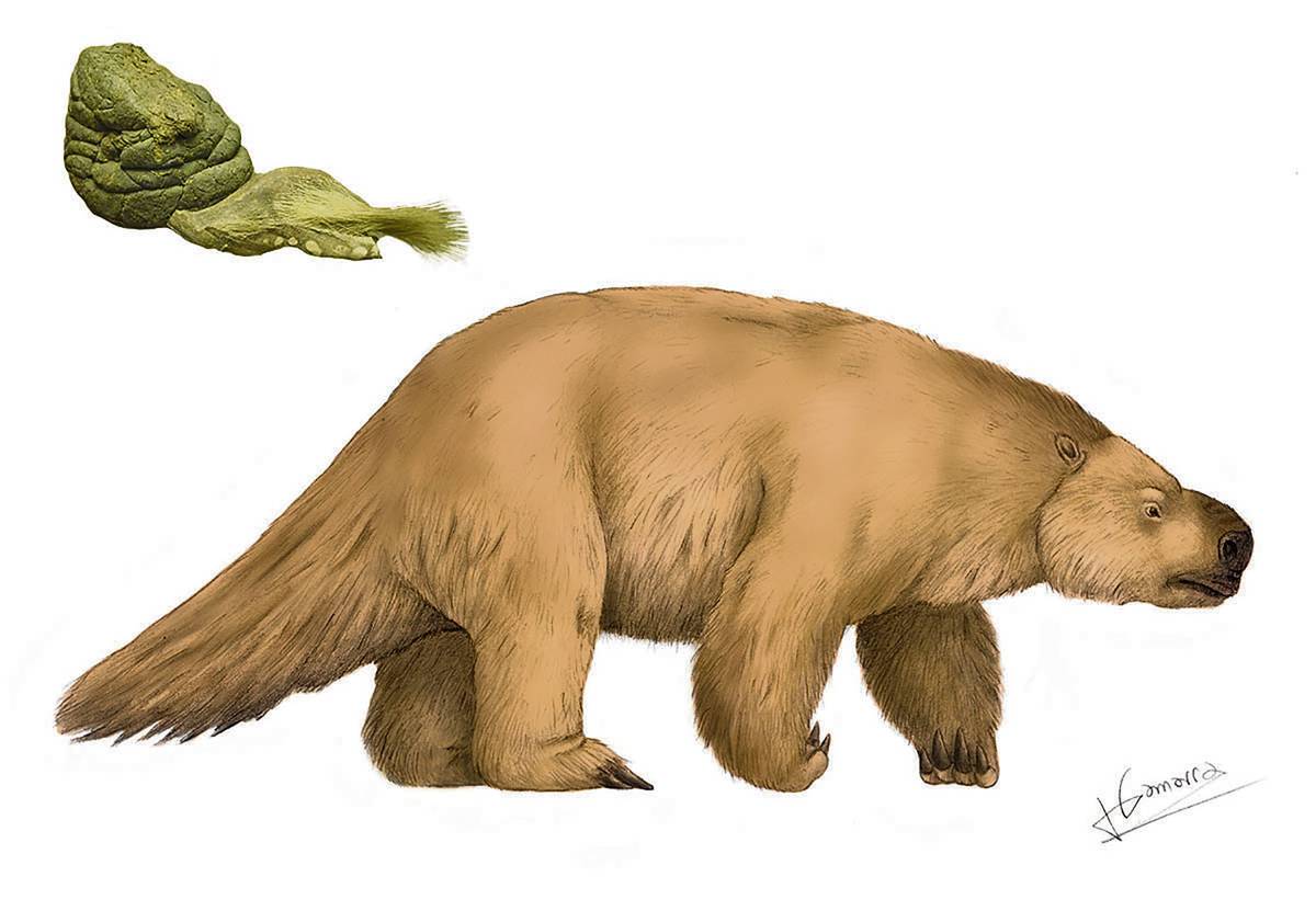 ¿Un carnívoro de casi dos toneladas asoló estas tierras hasta hace unos ...