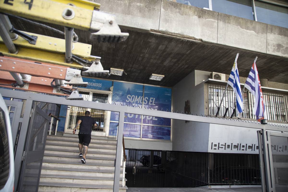 Denuncia contra la AUF por duplicación de garantías lleva siete meses ...