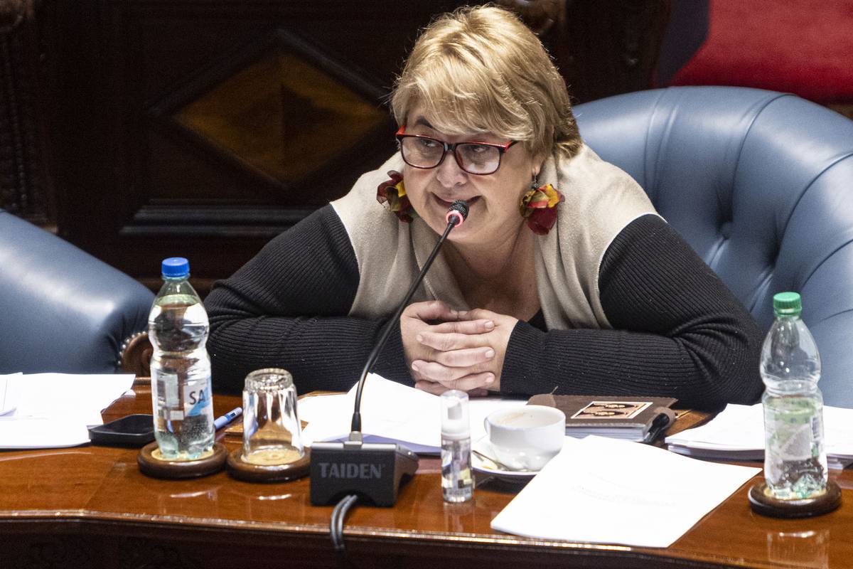 “Merece una discusión más amplia”, dijo la senadora del FA Sandra Lazo ...
