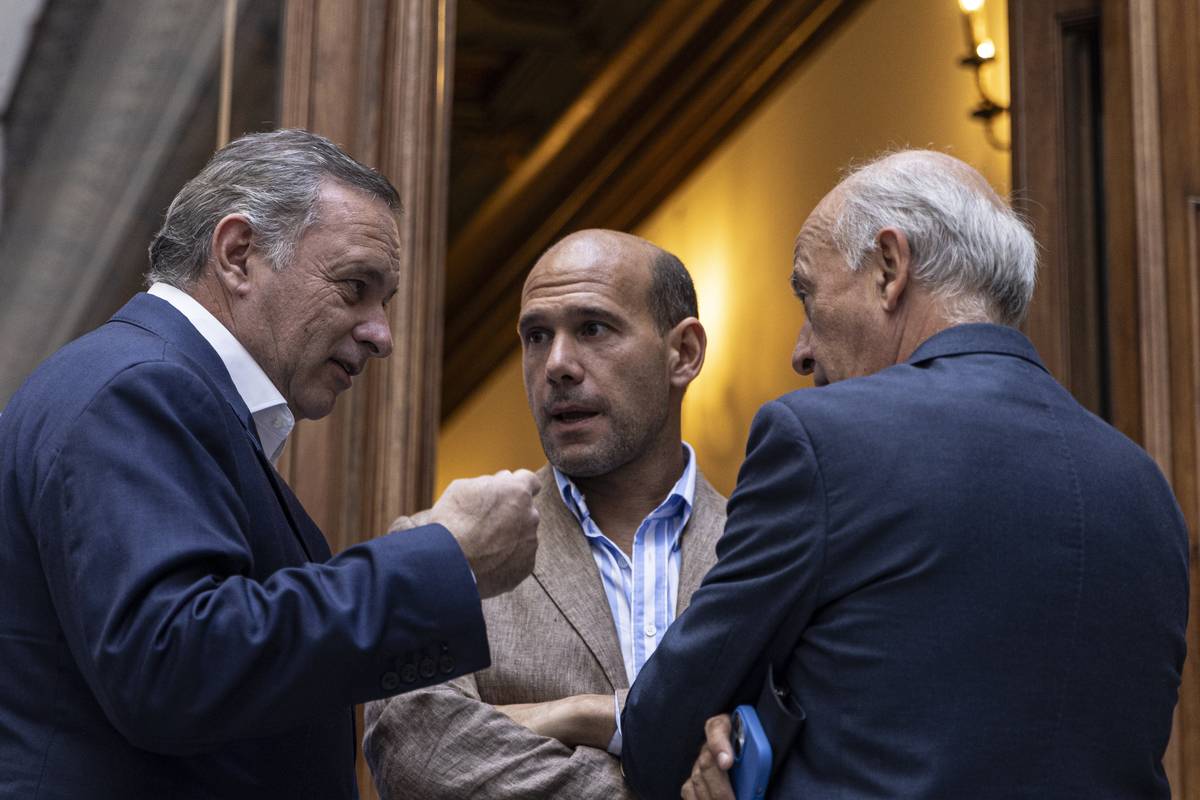 Lema afirmó que Delgado debería renunciar al Senado para dedicarse 100% ...