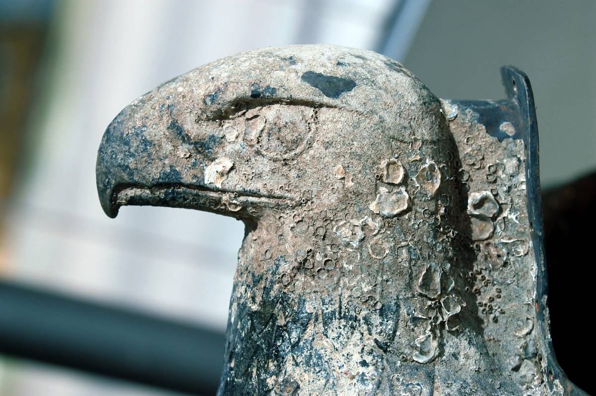 Lacalle Pou dio marcha atrás a la decisión de transformar el águila del ...