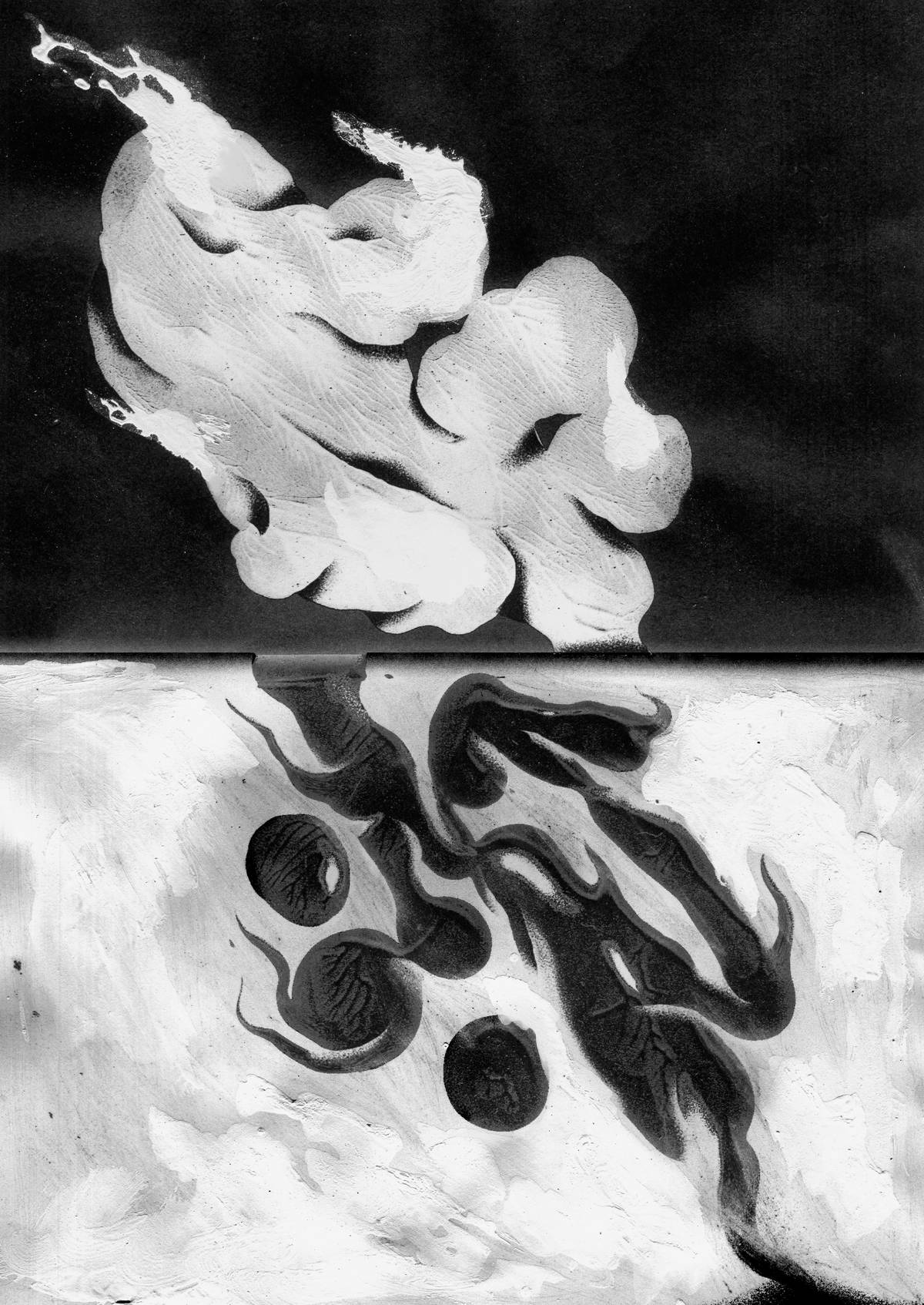 El pliegue traumático | la diaria | Uruguay