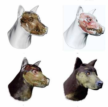 Iplayer bokep bocil she was sporting a transparent cover-up