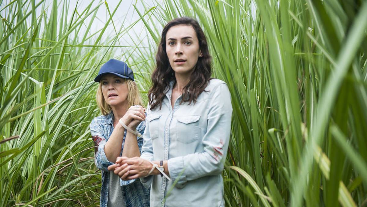 En el camino: “Wanted”, serie dirigida por Peter Templeman y Jennifer ...